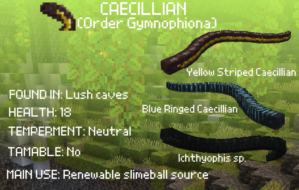 Caecillian | The Wannabeastiary Wiki | Fandom