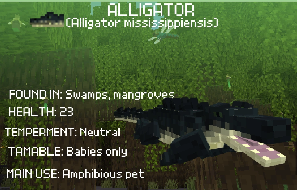 Alligator | The Wannabeastiary Wiki | Fandom