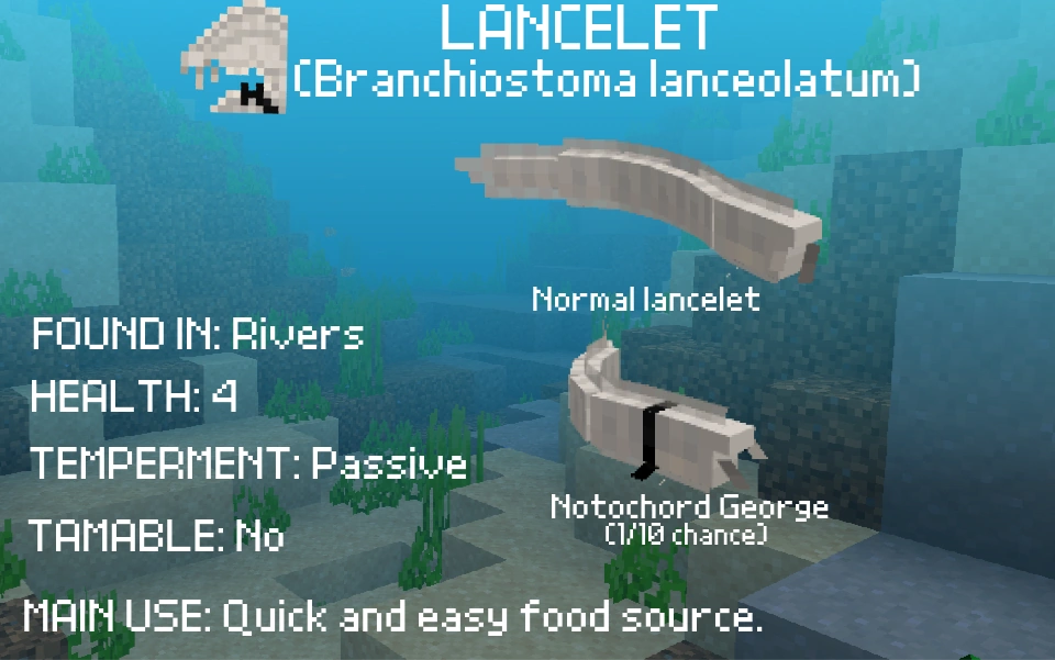 Lancelet | The Wannabeastiary Wiki | Fandom