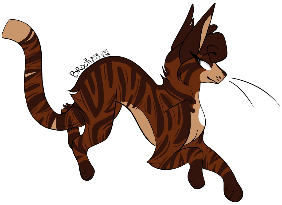 Runestar of DuskClan | The warrior cat roleplay Wiki | Fandom