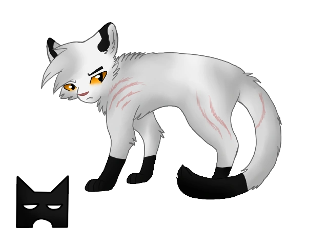 ShellHeart of ShadowClan | The warrior cat roleplay Wiki | Fandom