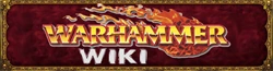 Aenar | Wikia The Warriors Of Chaos | Fandom