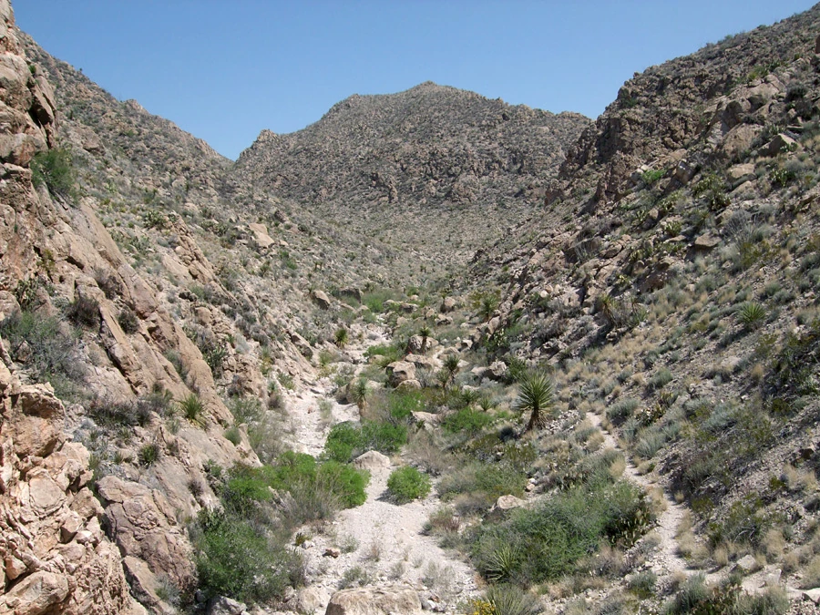 Dead Man's Ravine | Khreeshan's Wiki | Fandom