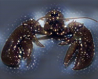 Space Lobster | The Weirdiverse Wiki | Fandom
