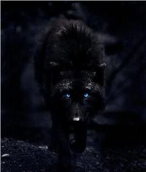 Derek Hale | The Werewolves of Green Hills Wiki | Fandom