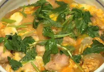 Oyakodon | The wiki of Custard the evil bird clone Wiki | Fandom