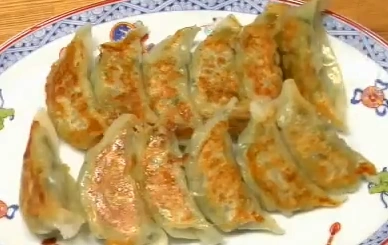 Gyoza | The wiki of Custard the evil bird clone Wiki | Fandom