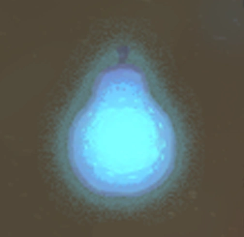 Elden Pear | The Wild At Heart Wiki | Fandom