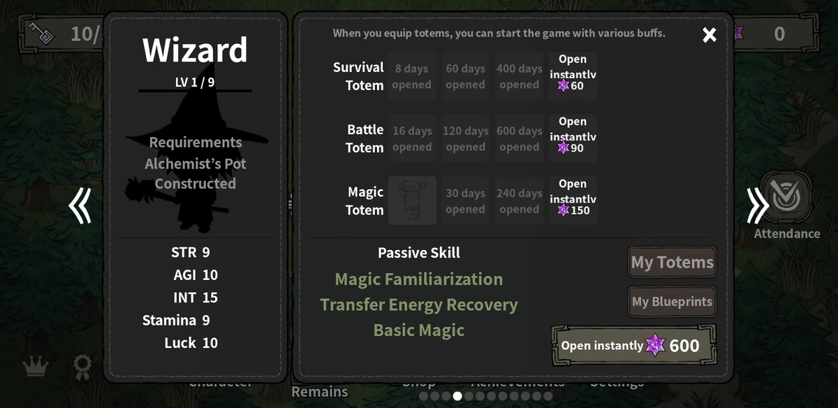 Wizard | The Wild Darkness Wiki | Fandom