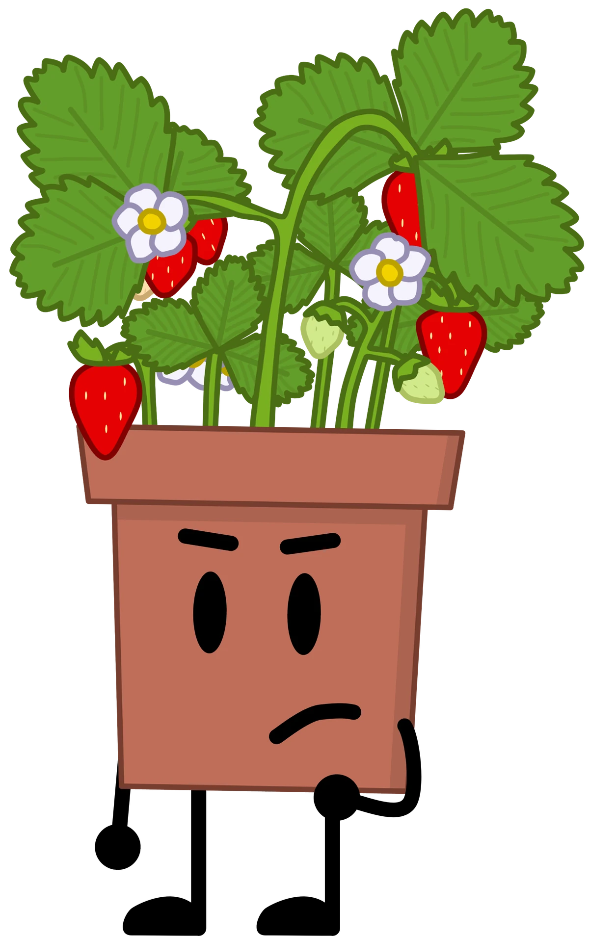 Plant Pot/Gallery | The Wild Island Wiki | Fandom