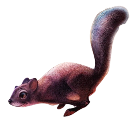 Dax the Squirrel | The Wild Ones (C Alexander London) Wiki | Fandom