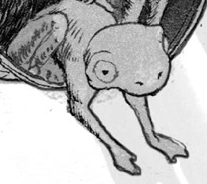 Fergus the Frog | The Wild Ones (C Alexander London) Wiki | Fandom
