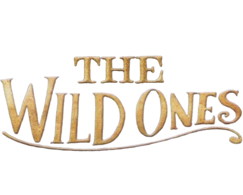 Moonlight Brigade (Book) | The Wild Ones (C Alexander London) Wiki | Fandom