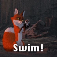 Brightbill | The Wild Robot Wiki | Fandom