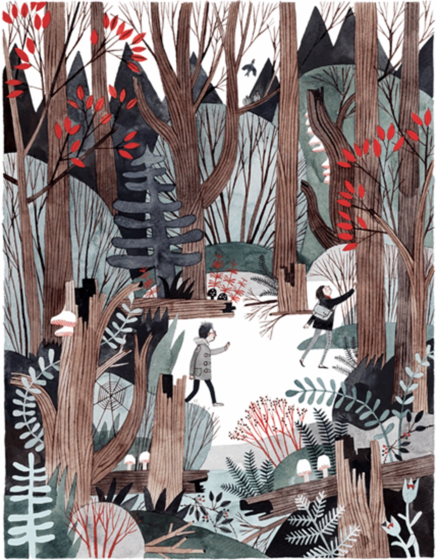 Wildwood | The Wildwood Chronicles Wiki | Fandom