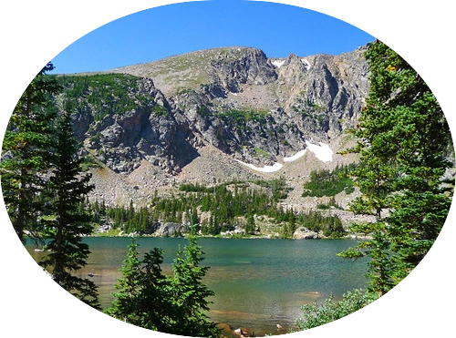 Camp Alpha | The Wings of Fire Role-play Wiki | Fandom