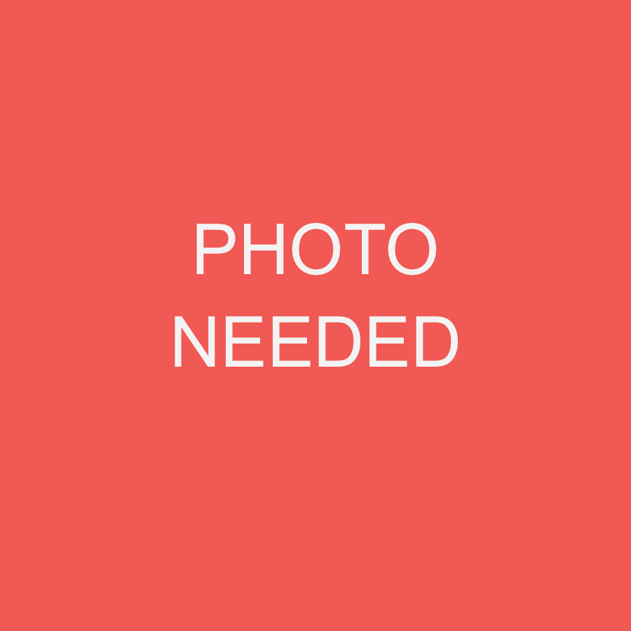 Deer | The Winter Rescue Wiki | Fandom