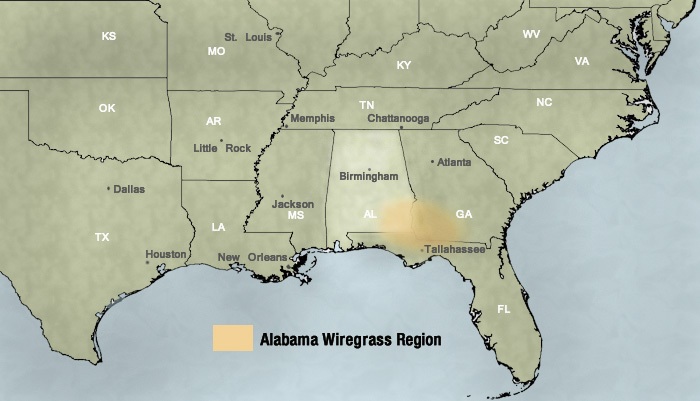 Wiregrass Region | The Wiregrass Communities Wiki | Fandom Wiregrass Region | The Wiregrass Communities Wiki | Fandom