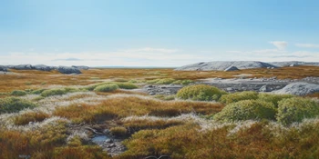 Kvenland | The Witcher Fanon Wikia | Fandom