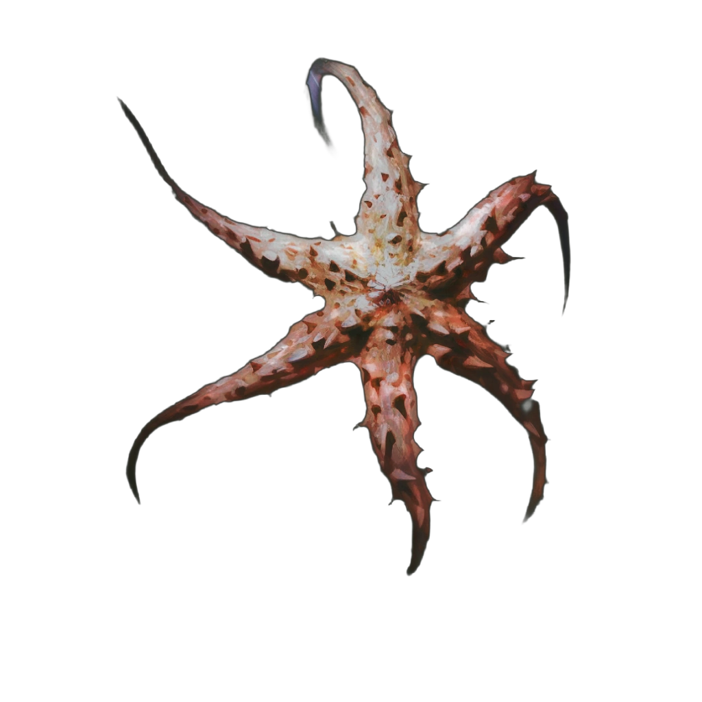 Stella | The Witcher Fanon Wikia | Fandom