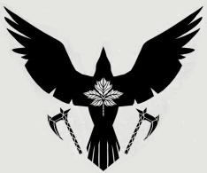 Morrigan | The Witcher Fanon Wikia | Fandom