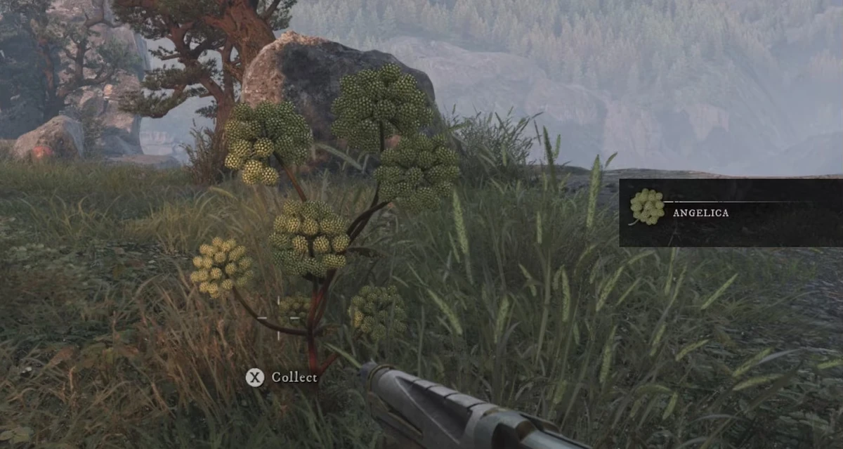 Healing | The witchfire scrolls Wiki | Fandom