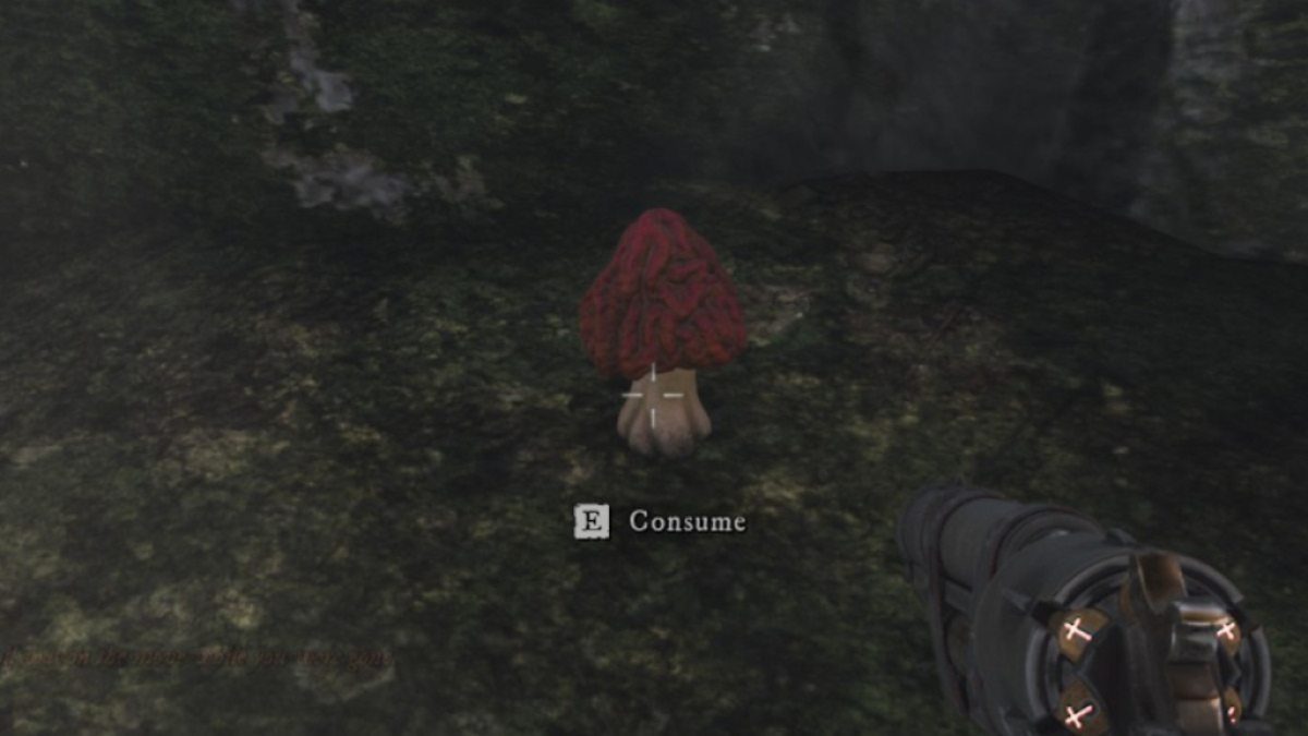 Mushroom Guide The Witchfire Scrolls Wiki Fandom