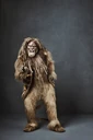 Cowardly Lion | The Wiz Wiki | Fandom