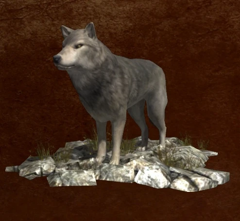 Gray Wolf | The Wolf Wiki | Fandom