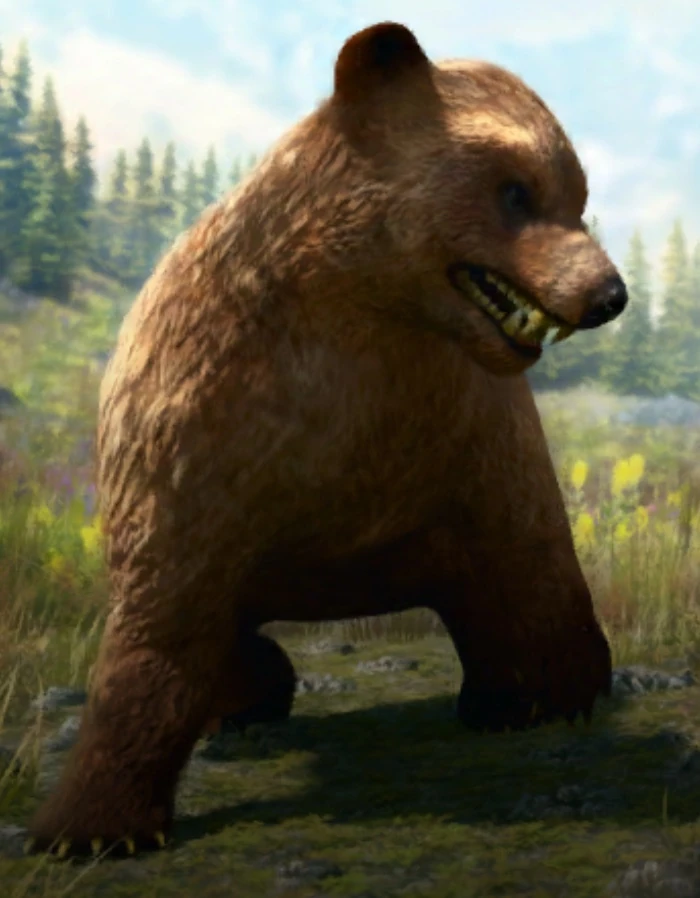 Bear | The Wolf Wiki | Fandom