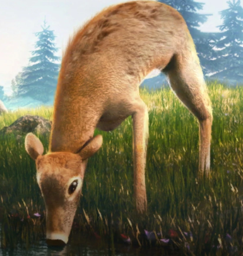 Doe | The Wolf Wiki | Fandom