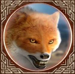 Dhole Wolf | The Wolf Wiki | Fandom