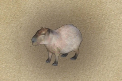 Capybara | The Wolf Wiki | Fandom