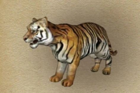 Tiger | The Wolf Wiki | Fandom