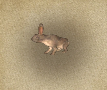 Rabbit | The Wolf Wiki | Fandom