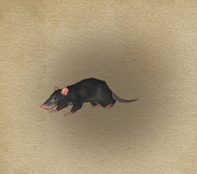 Rat | The Wolf Wiki | Fandom