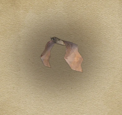 Bat | The Wolf Wiki | Fandom