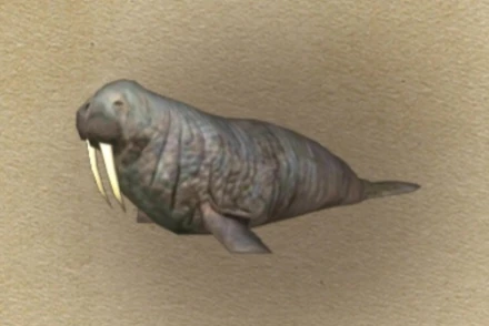 Walrus | The Wolf Wiki | Fandom
