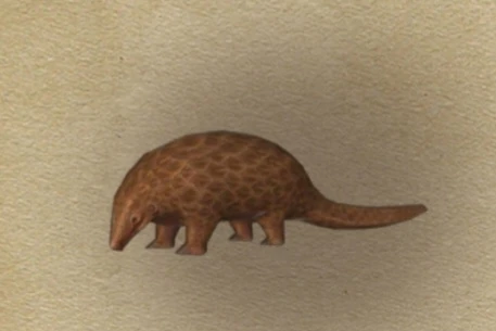 Ground Pangolin | The Wolf Wiki | Fandom