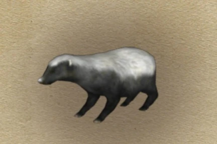 Honey Badger | The Wolf Wiki | Fandom