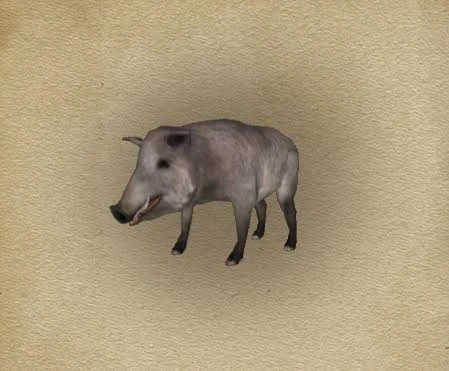 Boar | The Wolf Wiki | Fandom
