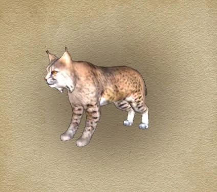 Bobcat | The Wolf Wiki | Fandom