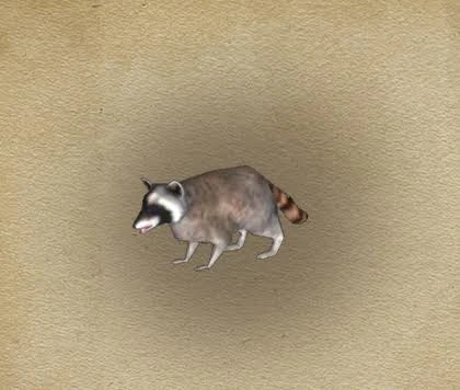 Raccoon | The Wolf Wiki | Fandom