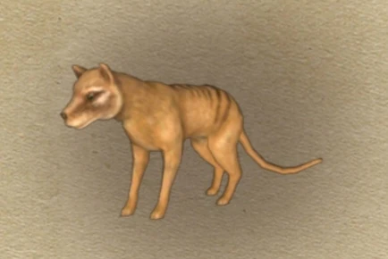 Thylacine | The Wolf Wiki | Fandom