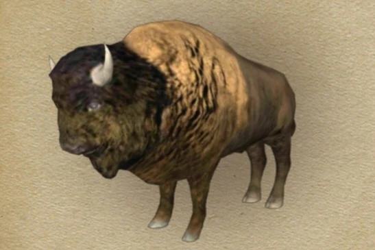 Canadian Bison | The Wolf Wiki | Fandom