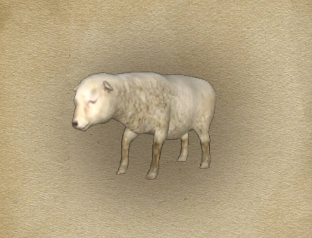 Sheep | The Wolf Wiki | Fandom