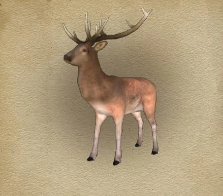 Stag | The Wolf Wiki | Fandom