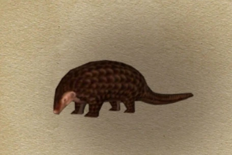 Black Pangolin | The Wolf Wiki | Fandom