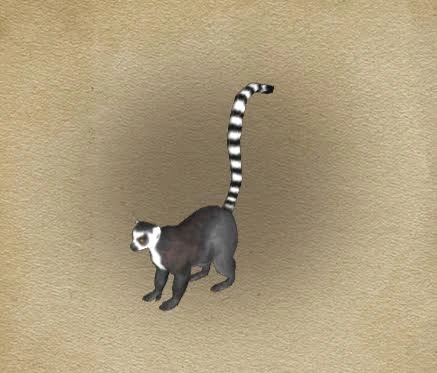 Lemur | The Wolf Wiki | Fandom