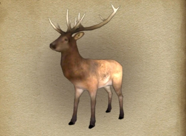 Roosevelt Elk | The Wolf Wiki | Fandom